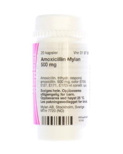 Amoxicillin Mylan 500 mg harde kapsler 20 stk - Apotek 1