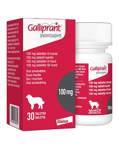 Galliprant vet 100 mg tabletter 30 stk - Apotek 1