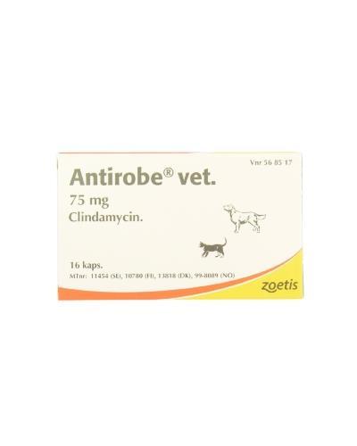 Antirobe vet kaps 75mg - Apotek 1