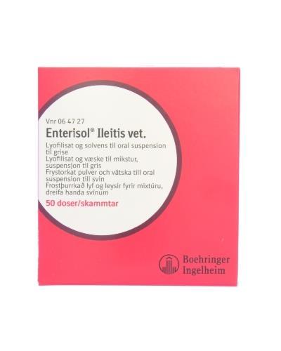 Enterisol Ileitis vet ly t mik - Apotek 1