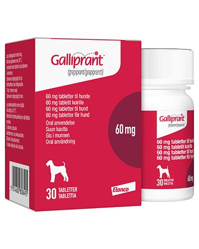 Galliprant vet 60 mg tabletter 30 stk - Apotek 1