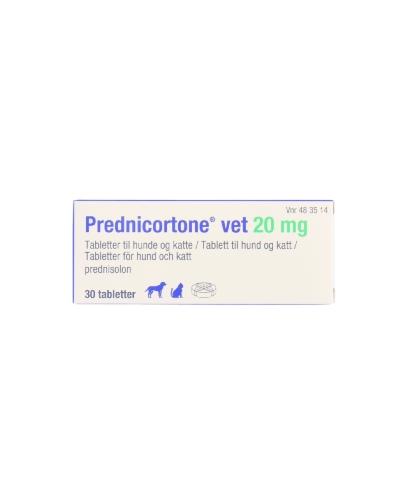 Prednicortone vet 20 mg tablett til hund og katt 30 stk - Apotek 1