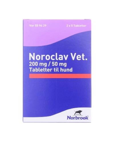 Noroclav vet 200/50 mg tabletter 10 stk - Apotek 1