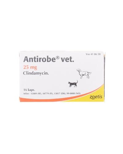 Antirobe vet kaps 25mg - Apotek 1