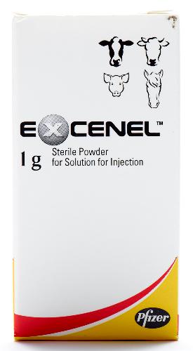 Excenel vet inj subst 1g 1 hgl - Apotek 1
