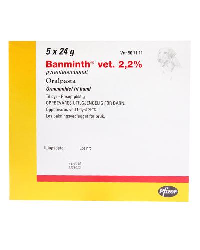 Banminth vet pasta 2,2% hund 5x24 G - Apotek 1